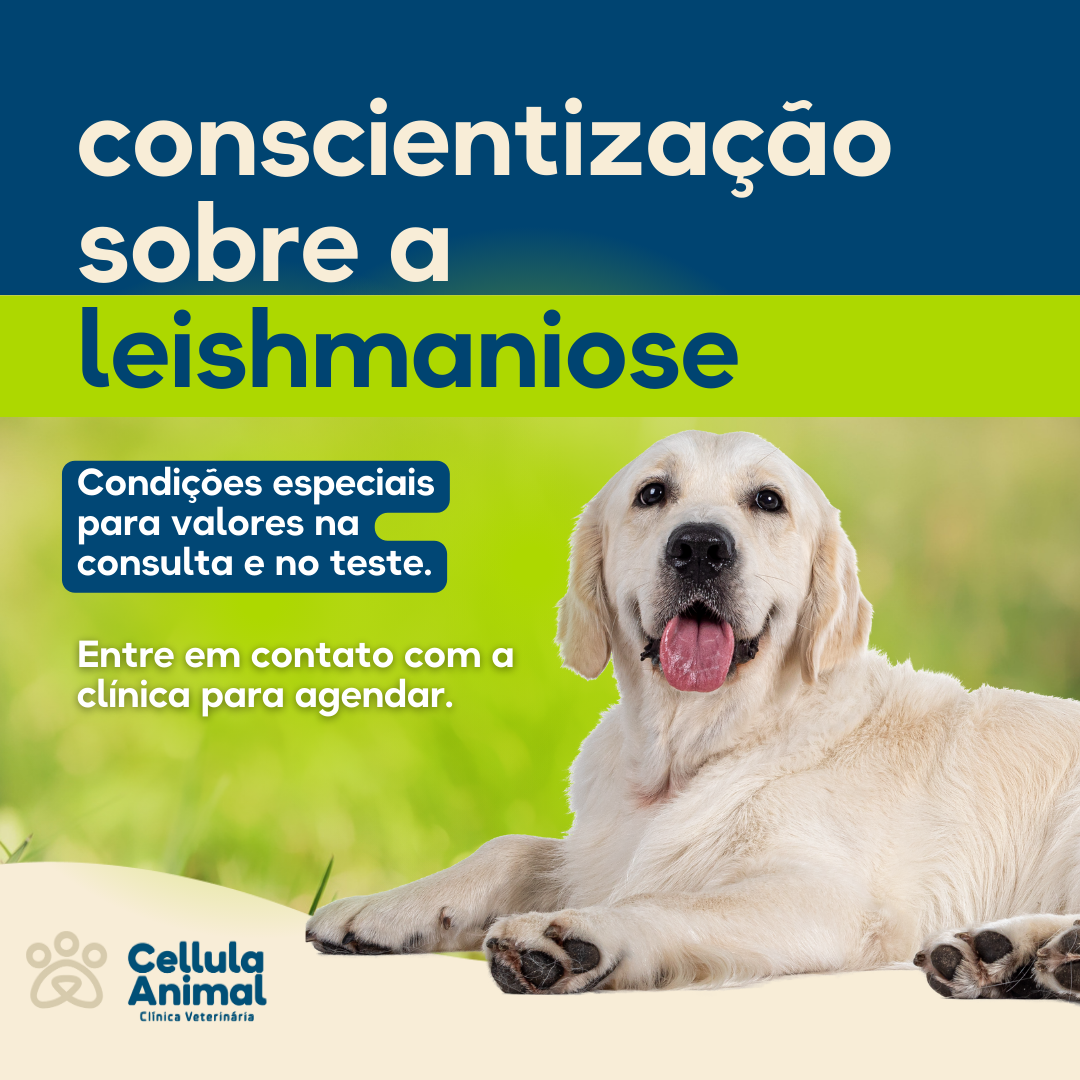 O que você sabe sobre a Leishmaniose? - Cellula Animal